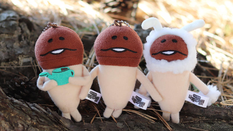 「원조 나메코 재배 키트」한국판 릴리스｜나메코파라다이스나 메코공식사이트